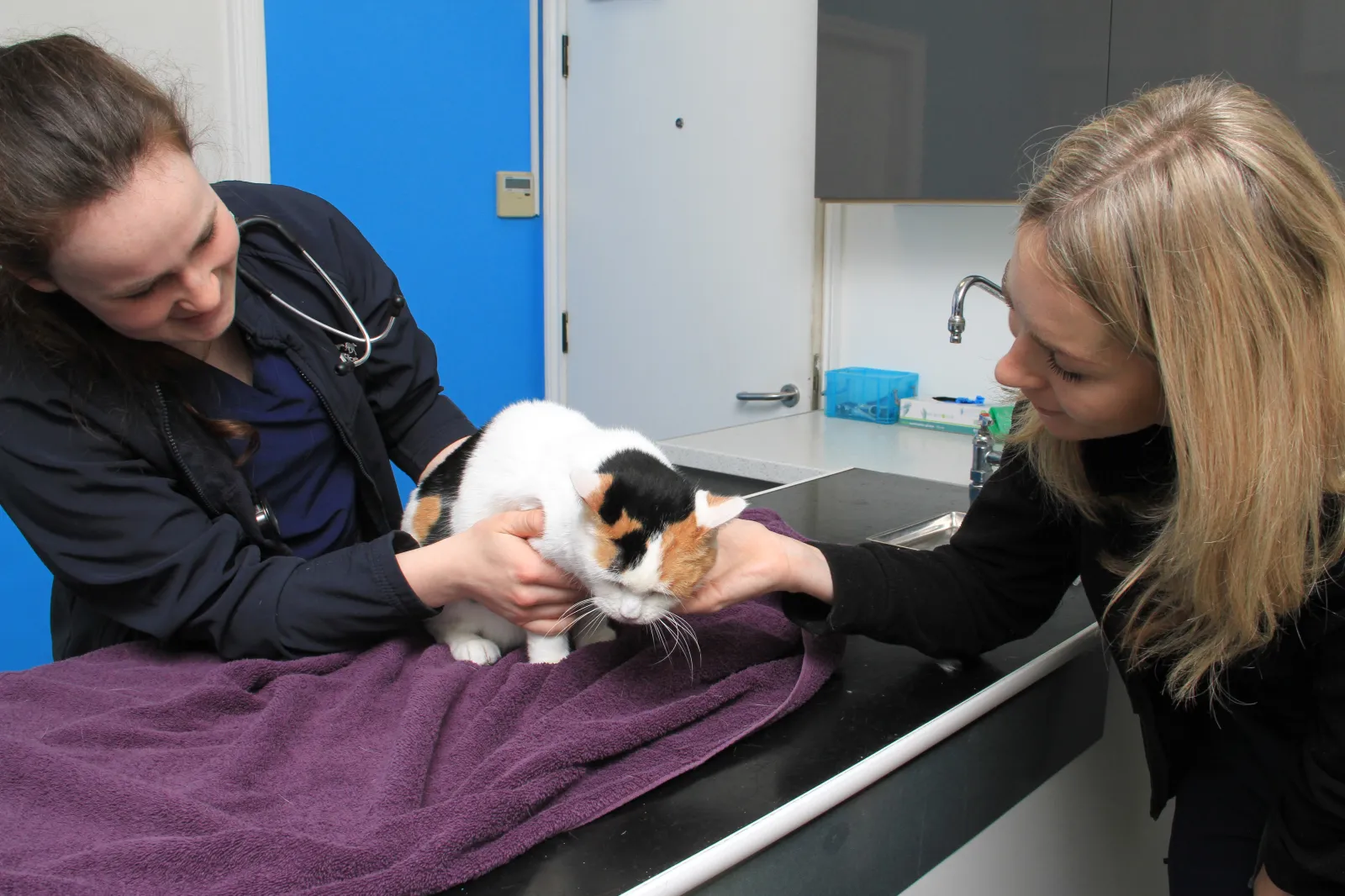 Beech House Vets - Proudly independent vets, for happy, healthy pets ...